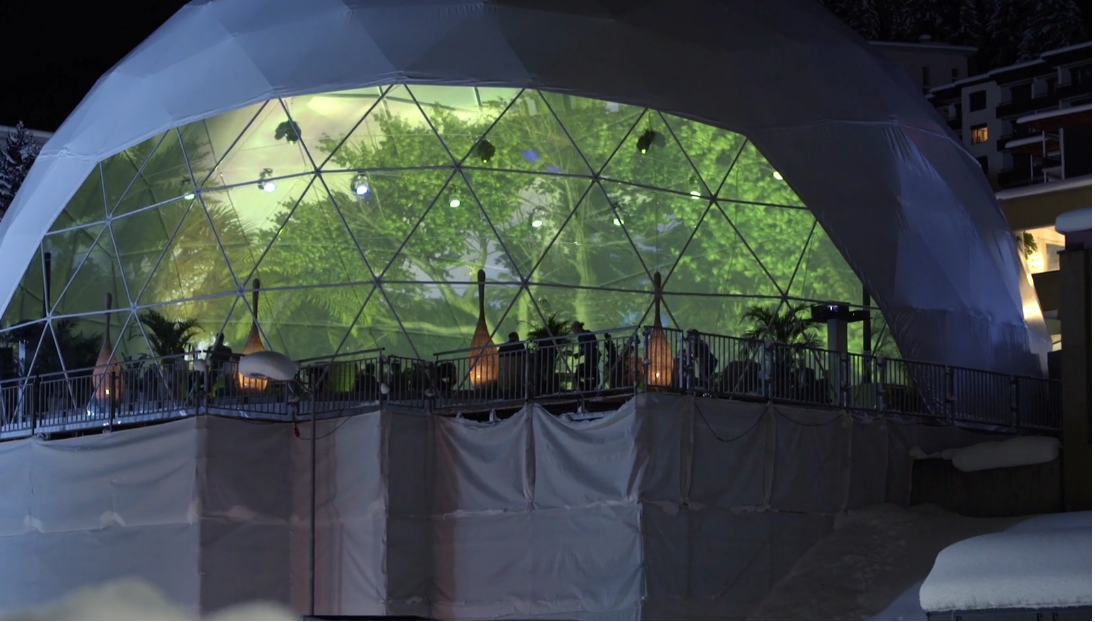 "Digital Forest": Mapping Installation - showcased