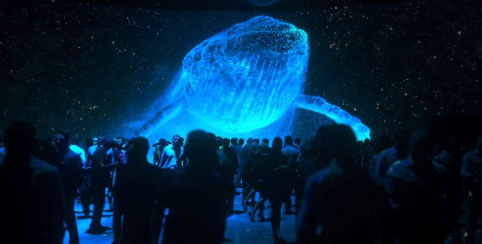 Invisible Worlds: Immersive Installation - showcased