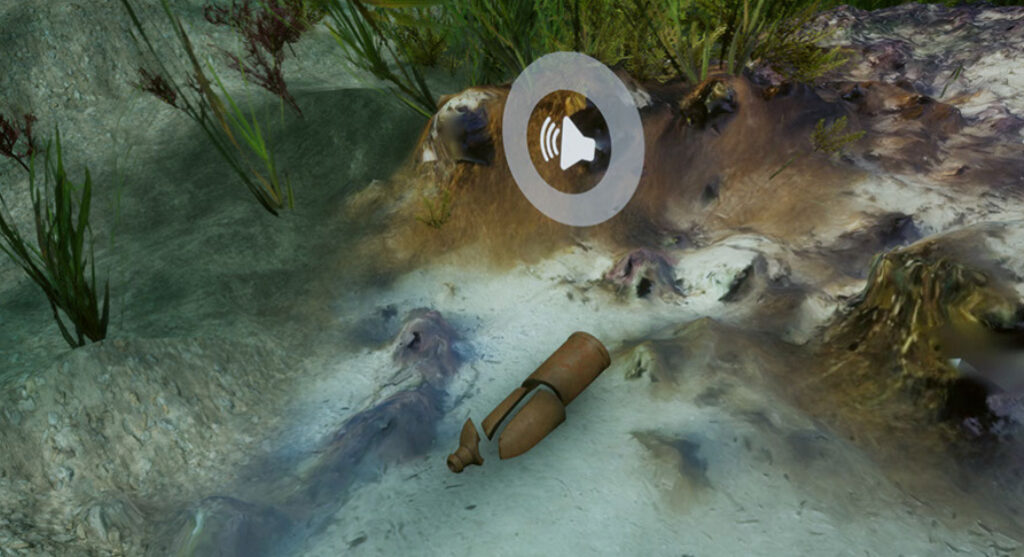 South Australian: VR Diving Experience - showcased